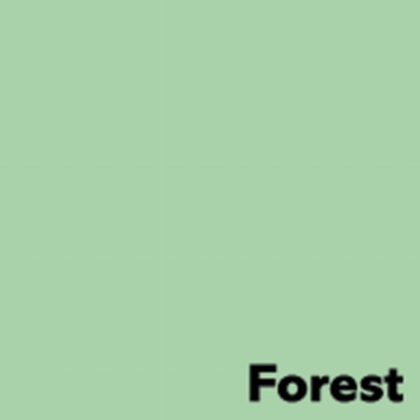 Image Coloraction A4/80g Forest / Pastel Green 500 arkkia/riisi, 5 ...